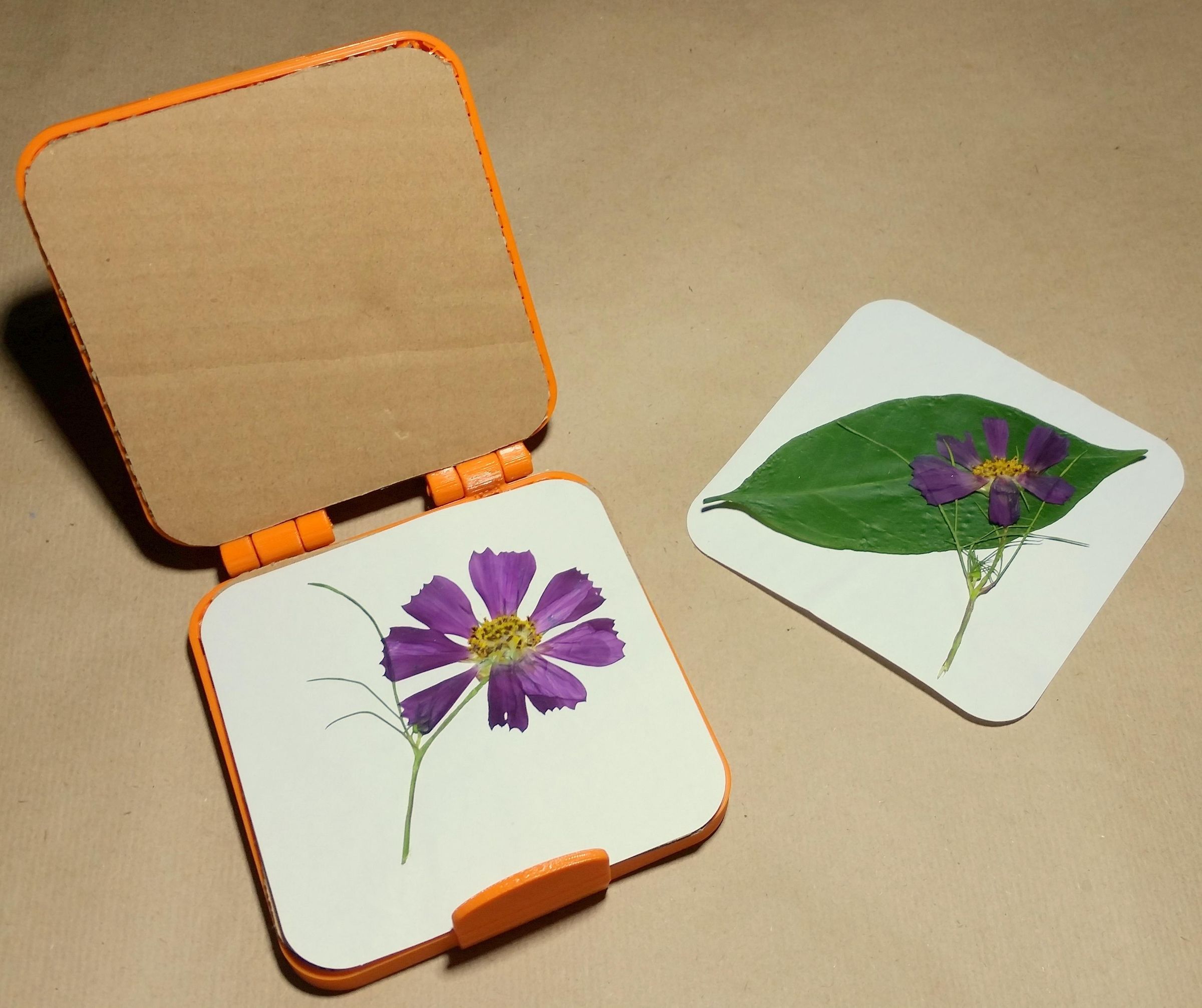 2-Minute Pressed Flower Art With 3D Printed Press - Tinkercad