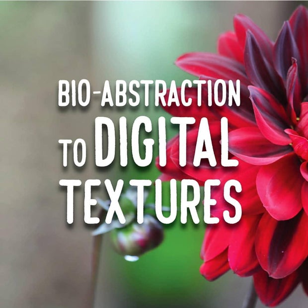 Re Discovering Nature With Tinkercad Codeblocks Tinkercad