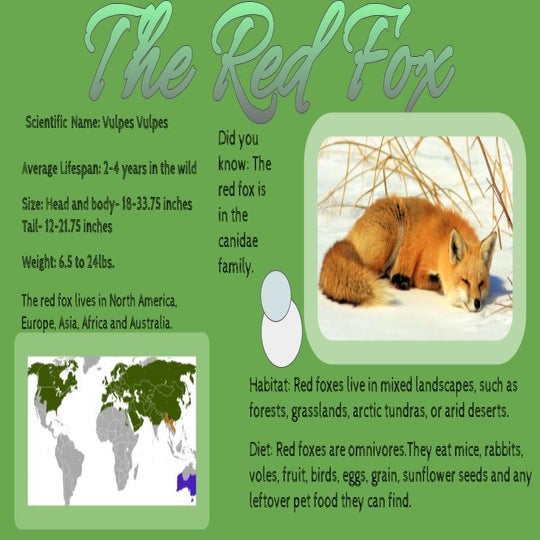 Tabletop Zoo - Tinkercad