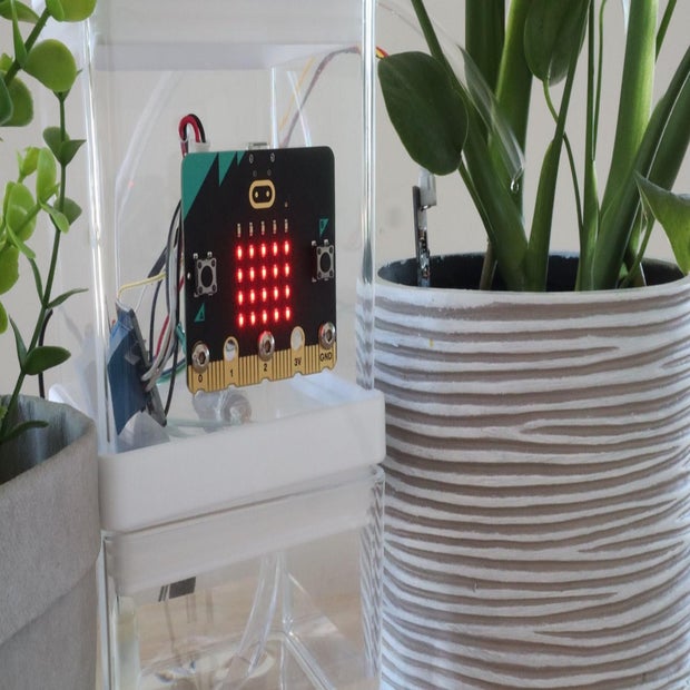 Automatic Plant Watering System Using a Micro:bit - Tinkercad