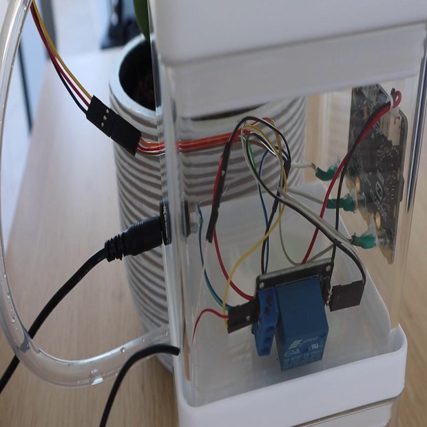 Automatic Plant Watering System Using a Micro:bit - Tinkercad