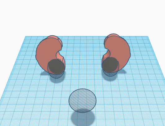 3D Model of Kidney Ft.Tinkercad - Tinkercad