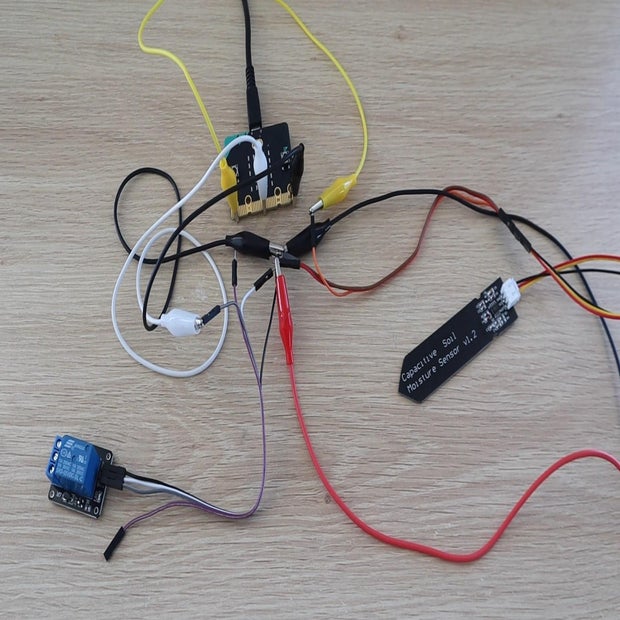 Automatic Plant Watering System Using a Micro:bit - Tinkercad