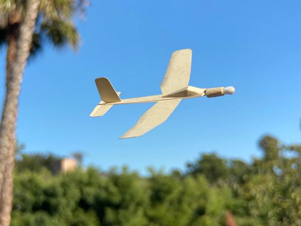 Cotton Swab Card Stock Micro Gliders - Tinkercad