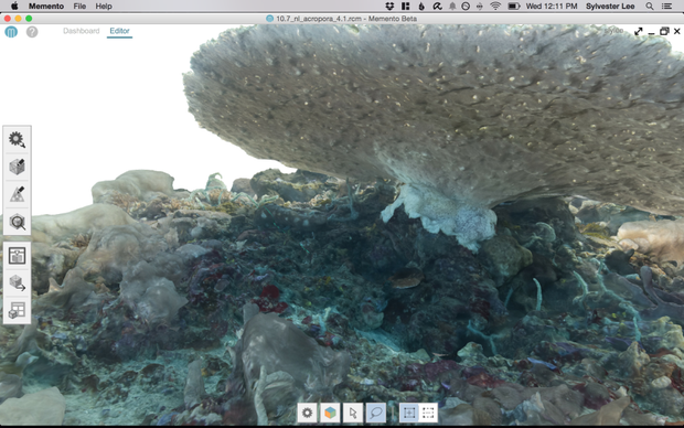 How to Save Coral Reefs Using 3D Design and Printing - Tinkercad