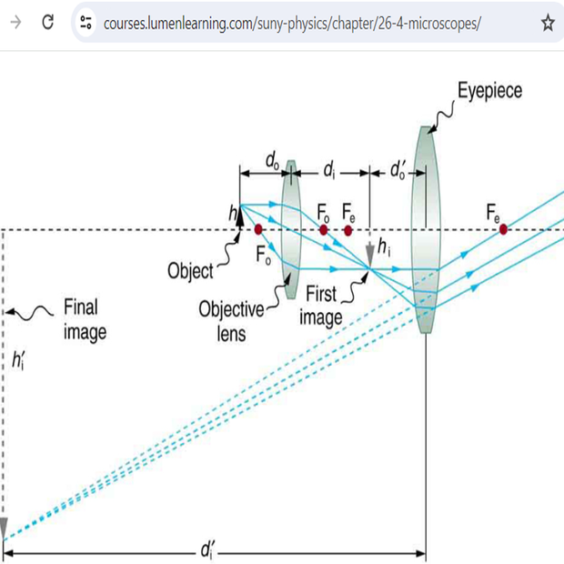 "Pocket Scientist":Keychain Compound Microscope From Laser Pointers ...