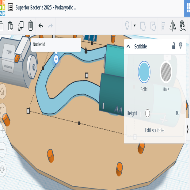 Model of Prokaryotic Bacteria - DC Motor Flagellum - Tinkercad