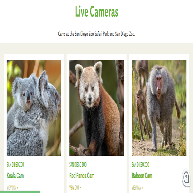 Tabletop Zoo - Tinkercad