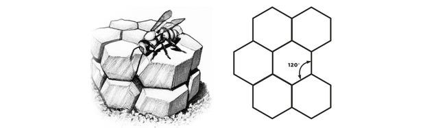 Re Discovering Nature With Tinkercad Codeblocks Tinkercad