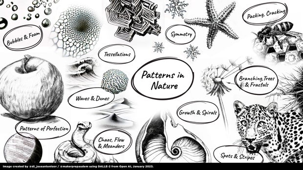 Re Discovering Nature With Tinkercad Codeblocks Tinkercad